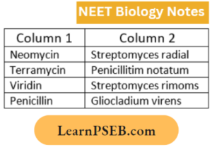 PSEB 11th Class Biology Kingdom Monera Multiple Choice Questions – Learn PSEB