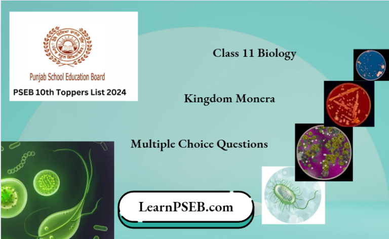 PSEB 11th Class Biology Kingdom Monera Multiple Choice Questions – Learn PSEB