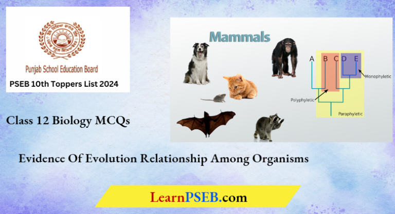 PSEB 12th Class Biology Evidence Of Evolution Relationship Among Organisms MCQS – Learn PSEB