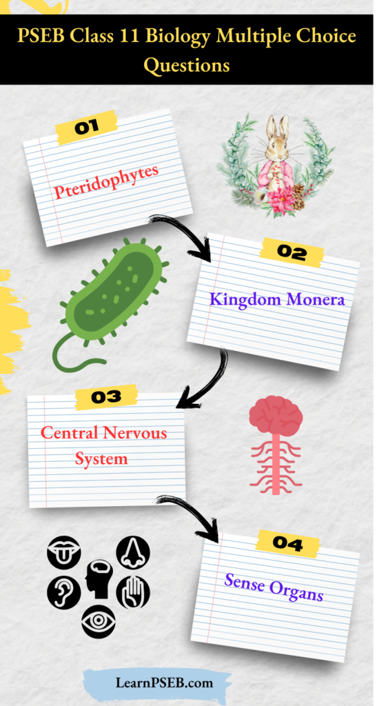 PSEB Class 11 Biology Multiple Choice Questions – Learn PSEB