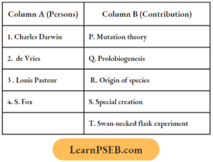 PSEB 12th Class Biology Evidence Of Evolution Relationship Among ...
