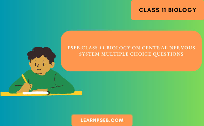 PSEB Class 11 Biology On Central Nervous System Multiple Choice Questions – Learn PSEB
